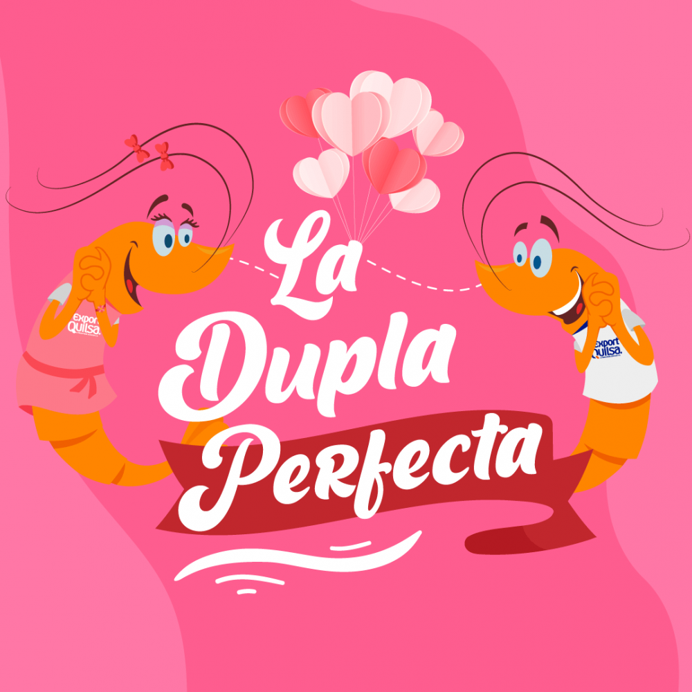 La dupla perfecta - Exportquilsa | 有信